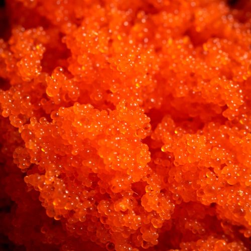 What is Masago Sushi? (Masago Explained)