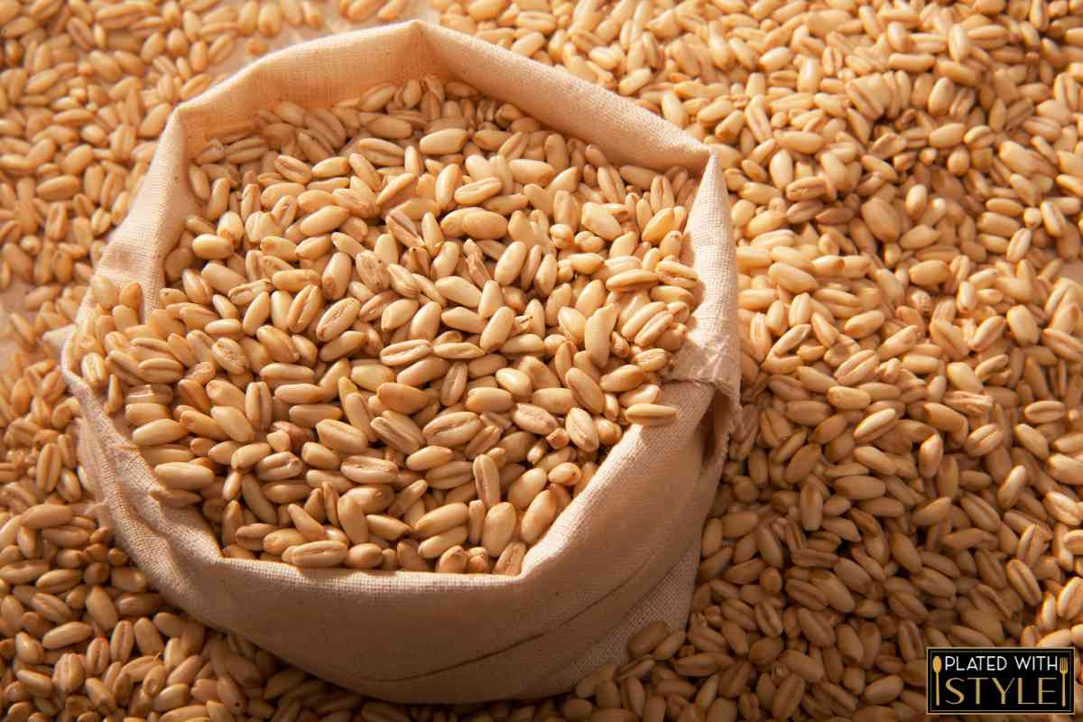Barley Vs Oats: Key Differences